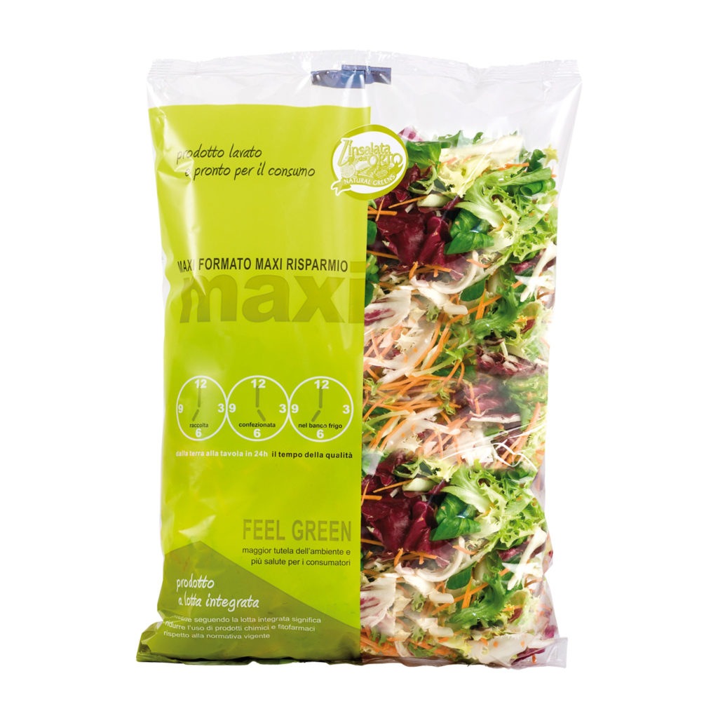 Vibrant Salad - L'insalata dell'Orto